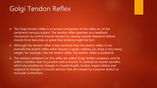 Physiology of spinal cord by Tibbia college Delhi | PPT