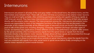 Physiology of spinal cord by Tibbia college Delhi | PPTX