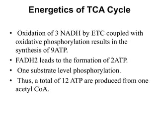 TCA CYCLE | PPTX