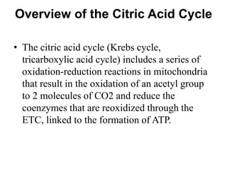 TCA CYCLE | PPTX