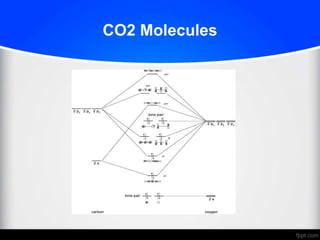 Molecular Orbital Theory For Diatomic Species | PPT