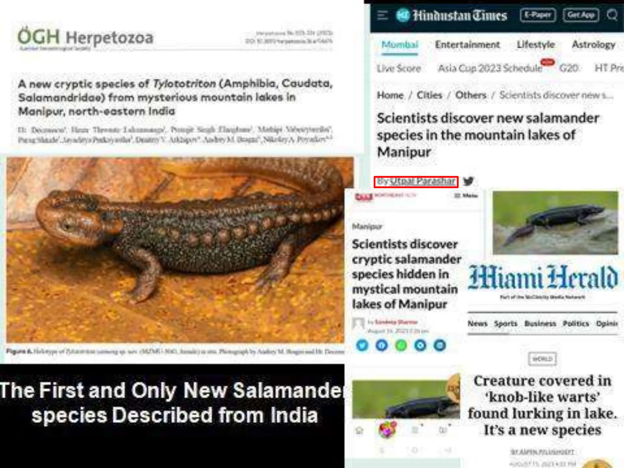 Discovery of the only salamander species from Indian continent. | PPTX