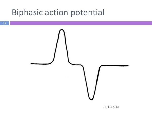ACTION POTENTIAL - IONIC BASIS AND RECORDING