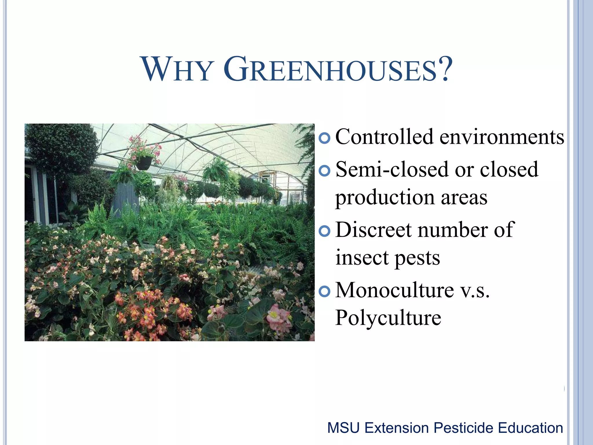 non-chemical control of pests of ornamental crops under greenhouse | PPTX
