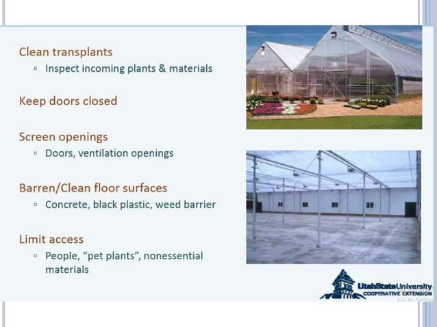 non-chemical control of pests of ornamental crops under greenhouse | PPT