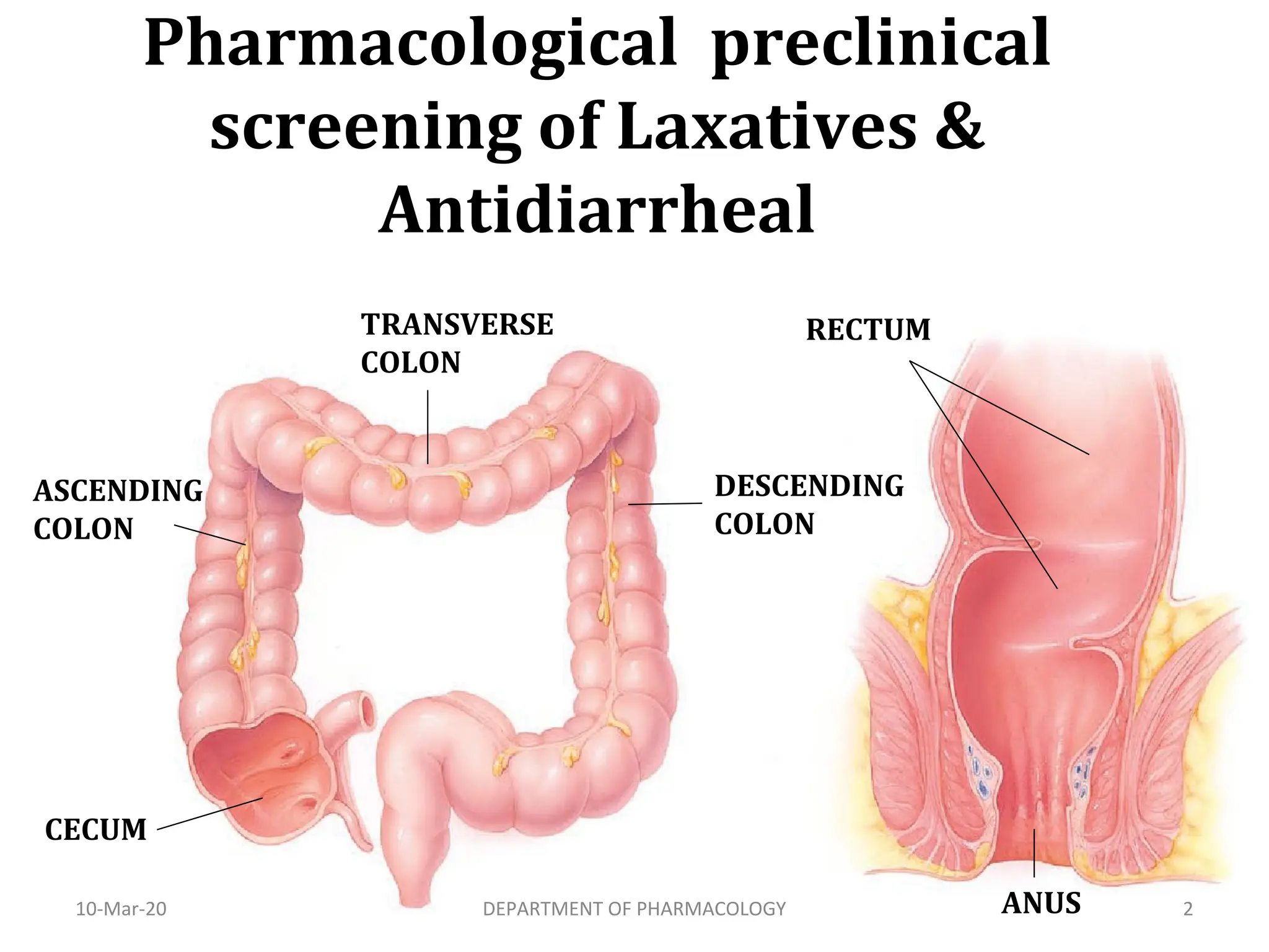 pharmacological Preclinical screening of antidiarrheal and Laxatives | PDF