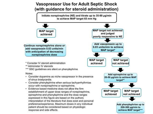 sepsis new guidelines 2017 | PPT