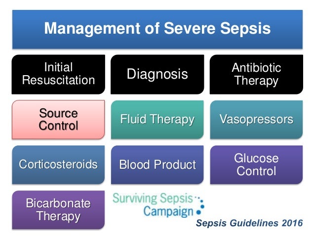 sepsis new guidelines 2017