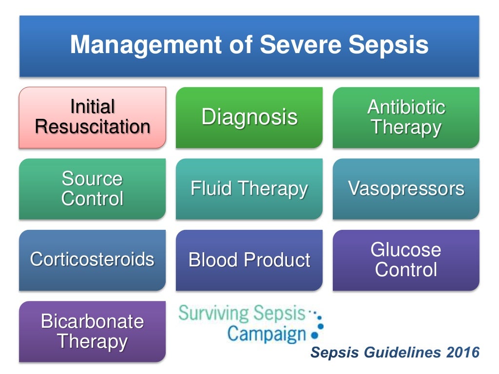 sepsis new guidelines 2017