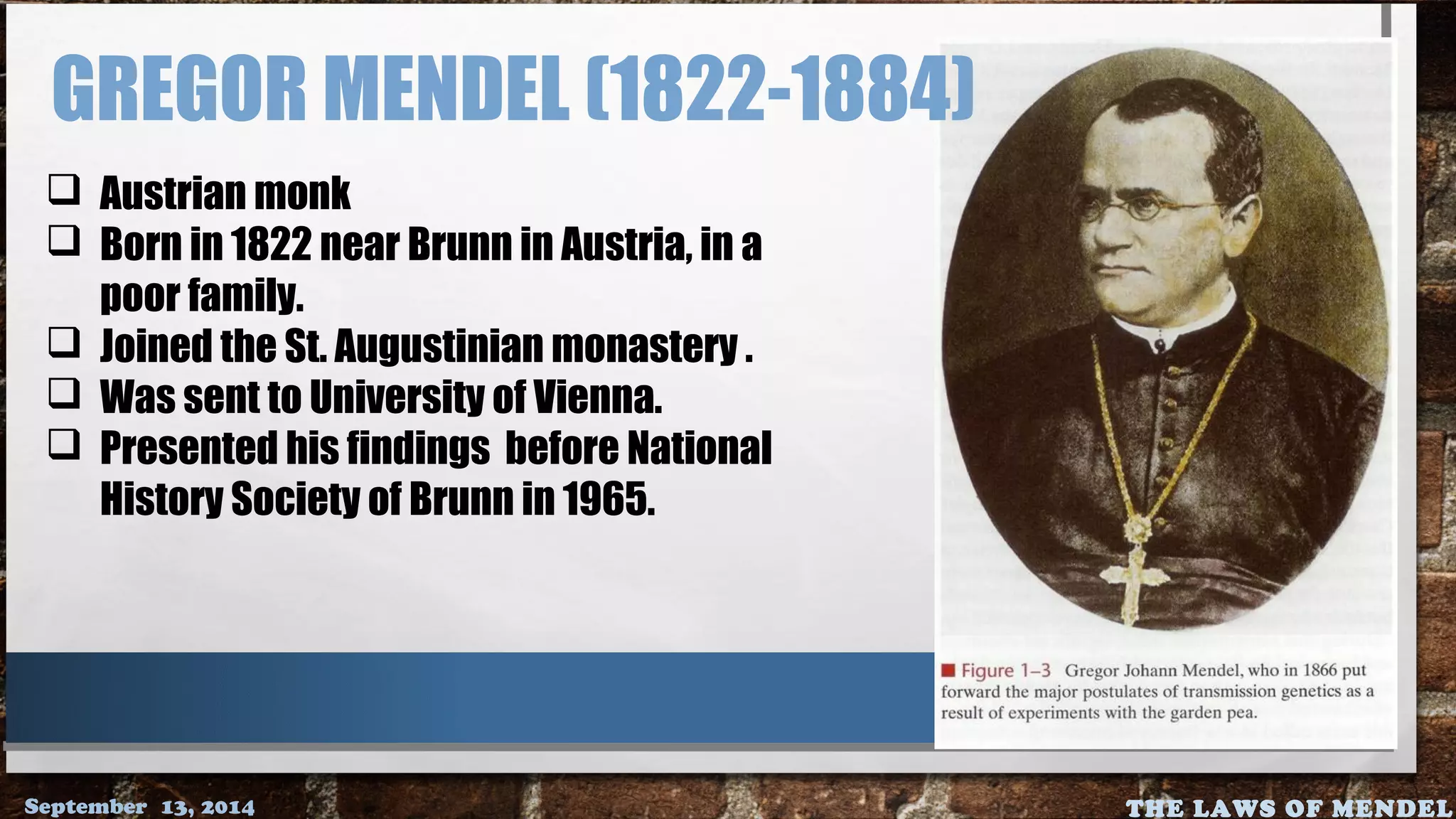 THE LAWS OF MENDEL | PPT | Gardening | Home & Garden