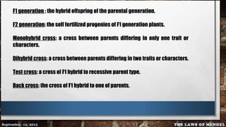 THE LAWS OF MENDEL | PPT