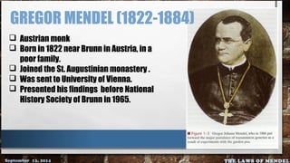 THE LAWS OF MENDEL | PPT