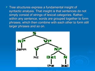 My ppt 2 Grammer types and their description.ppt