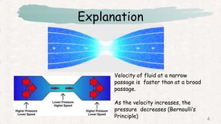 Bernoulli's Principle and its applications | PPTX