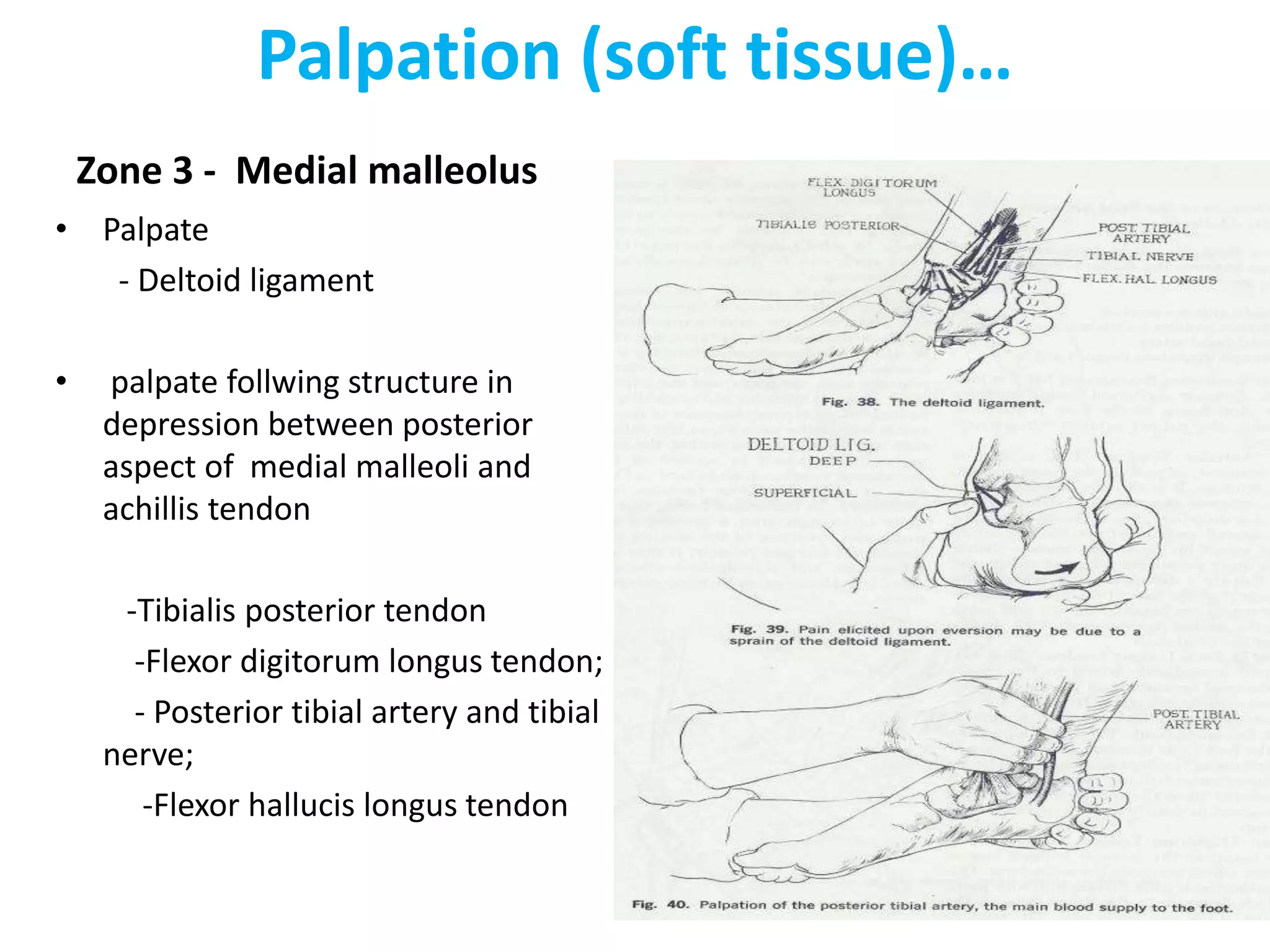 examination of foot and ankle | PPTX