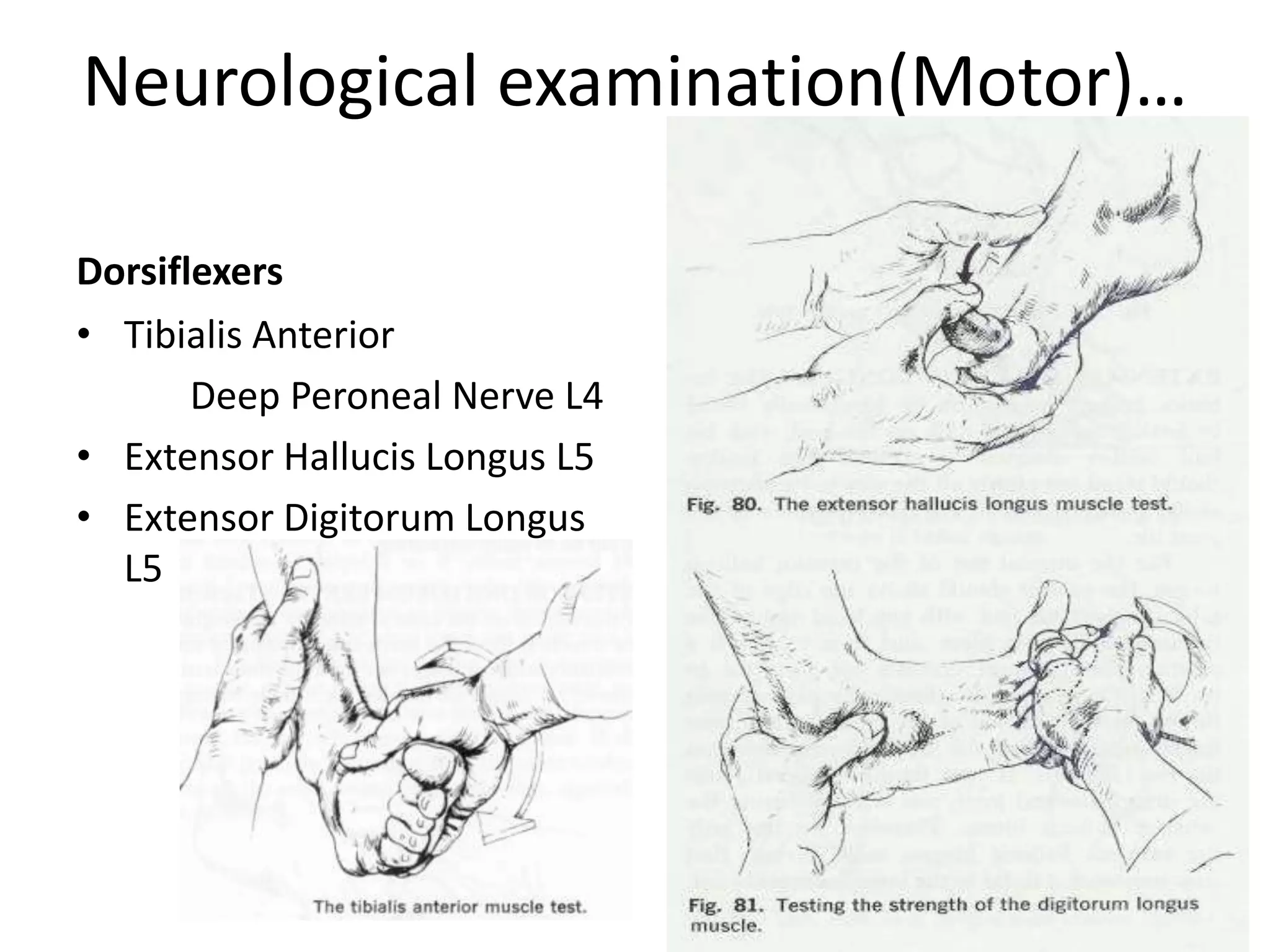 examination of foot and ankle | PPTX