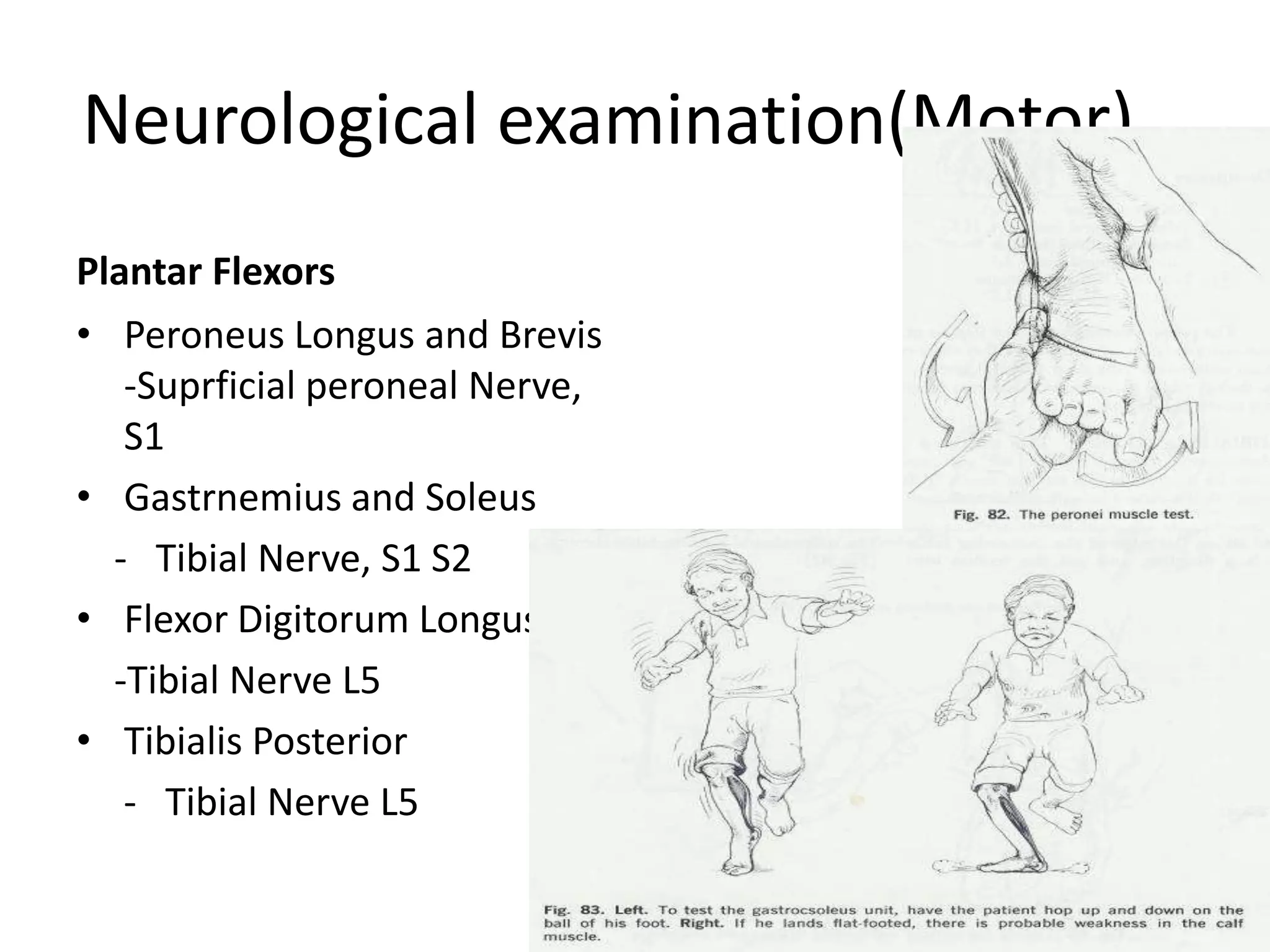 examination of foot and ankle | PPTX