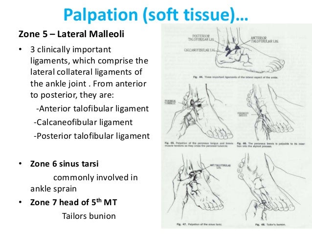 examination of foot and ankle