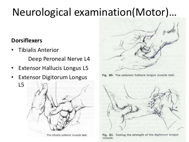 examination of foot and ankle