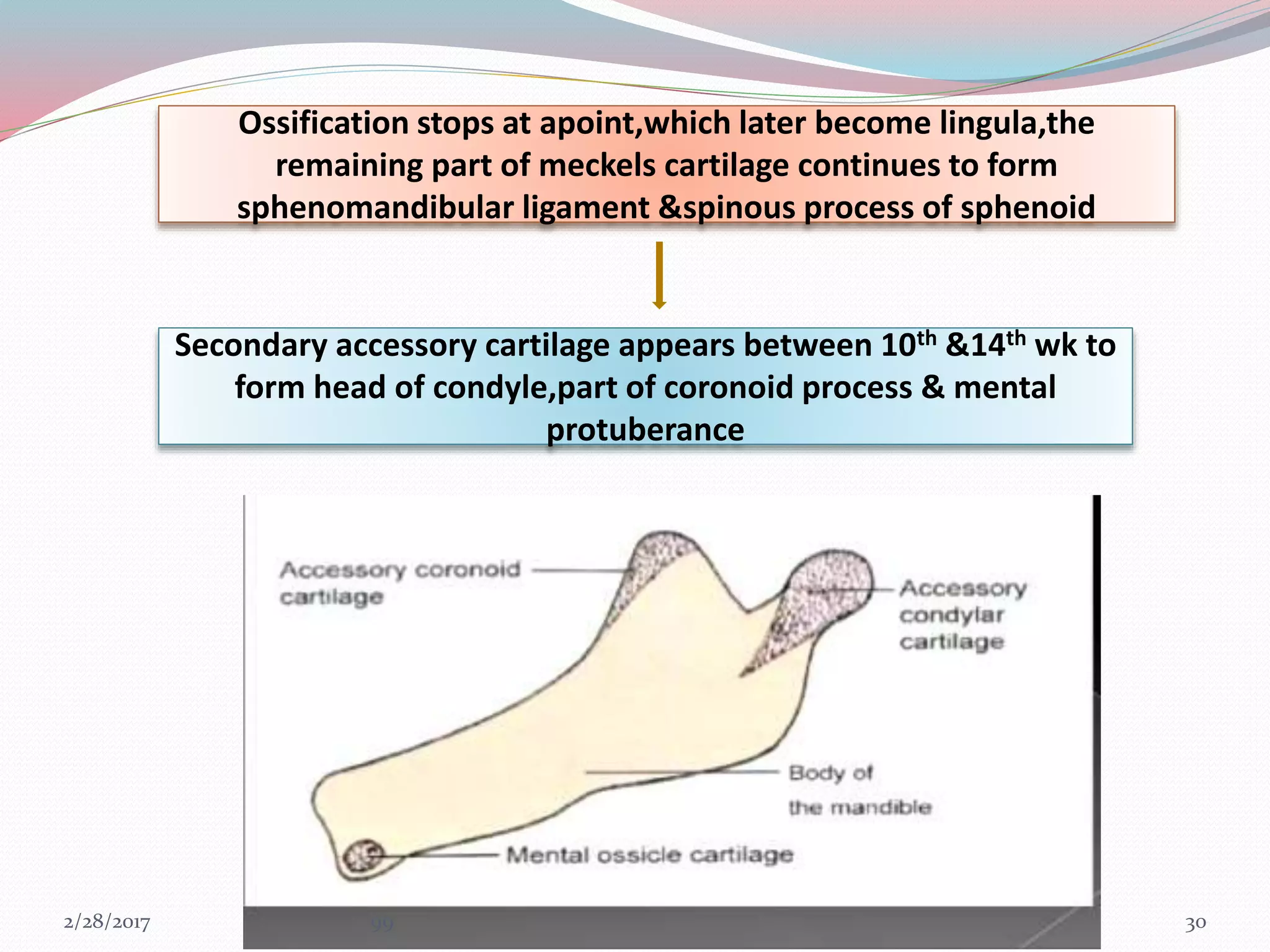 growth and development of mandible | PPTX