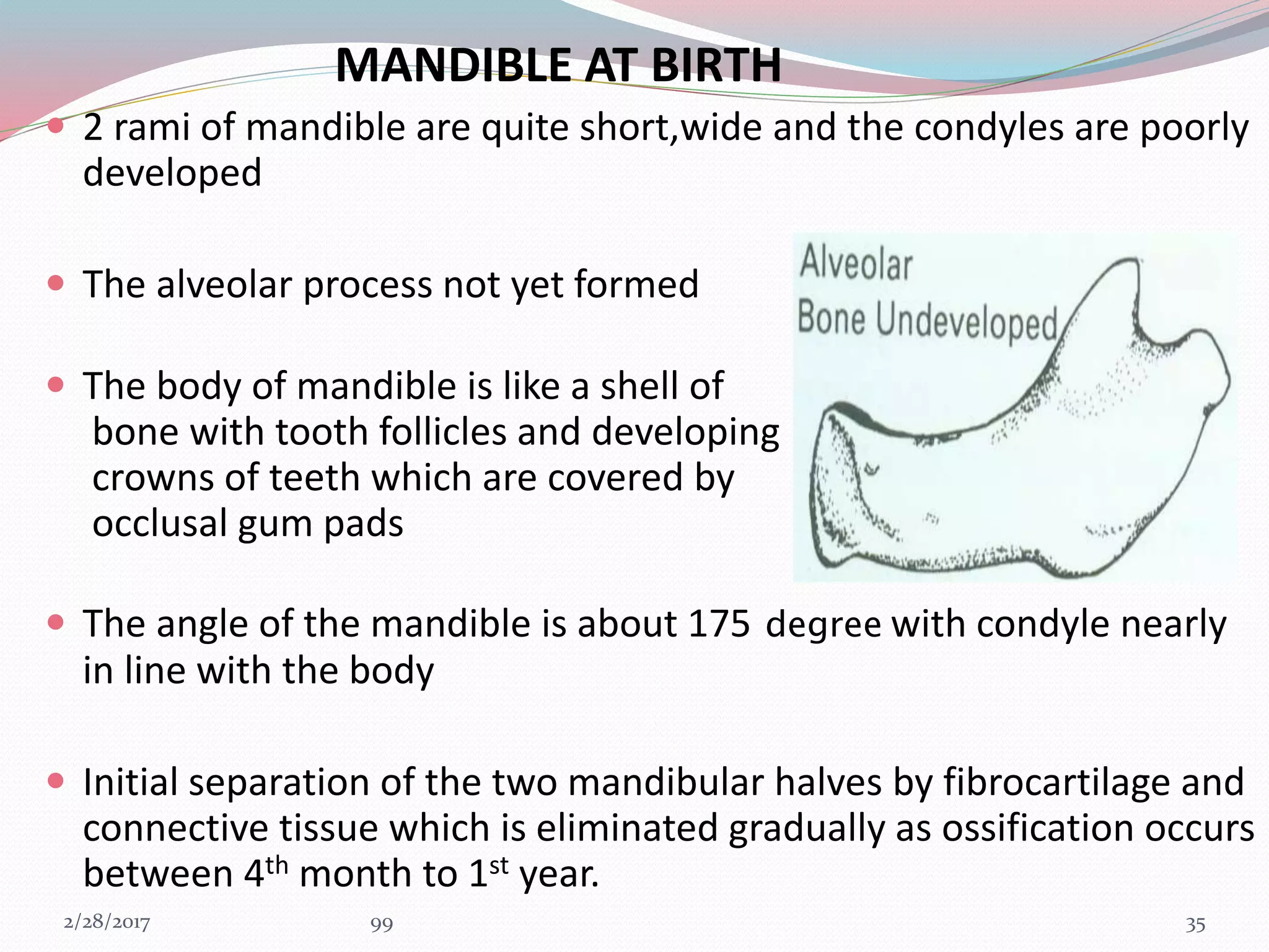 growth and development of mandible | PPTX