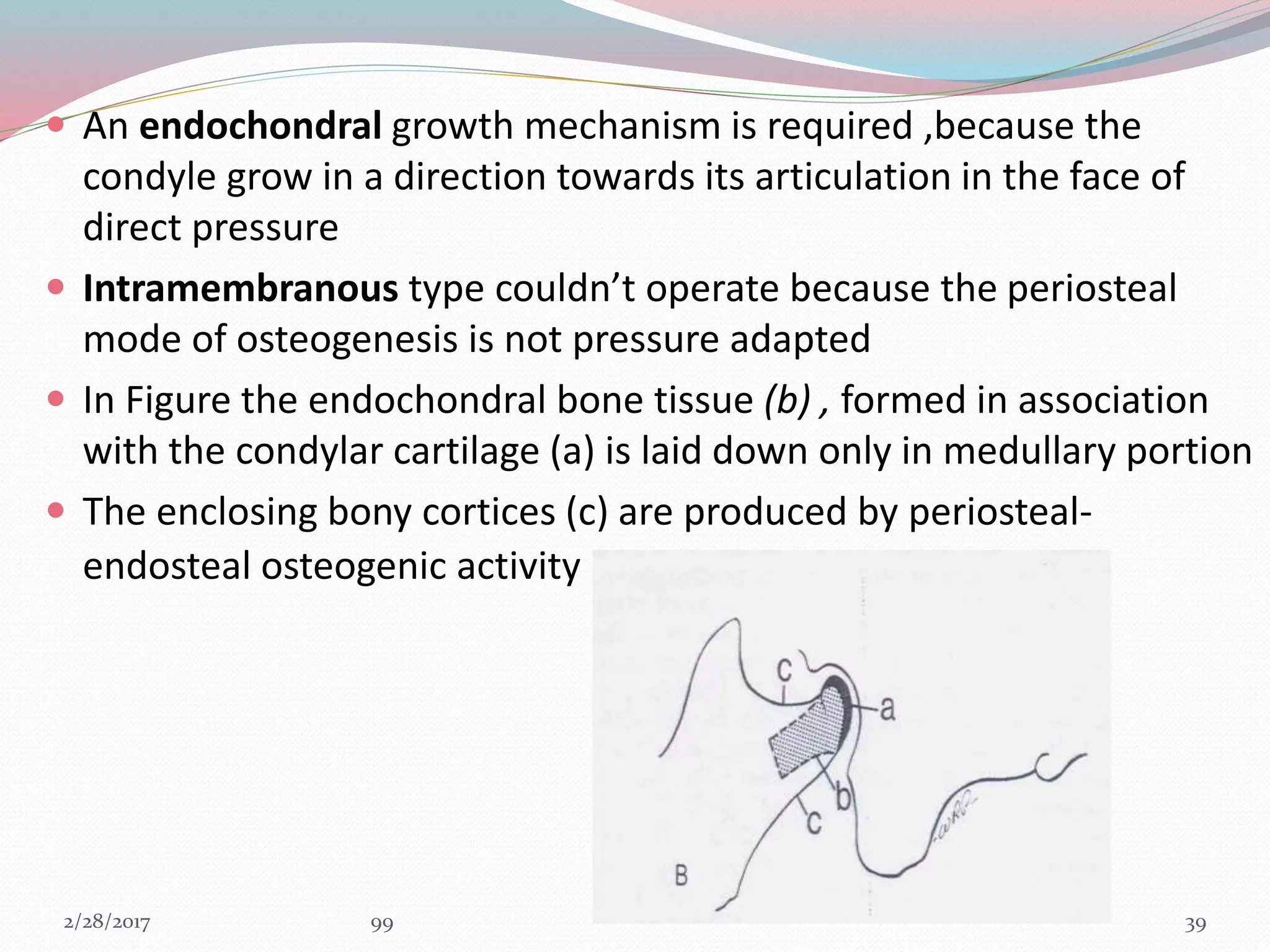 growth and development of mandible | PPTX