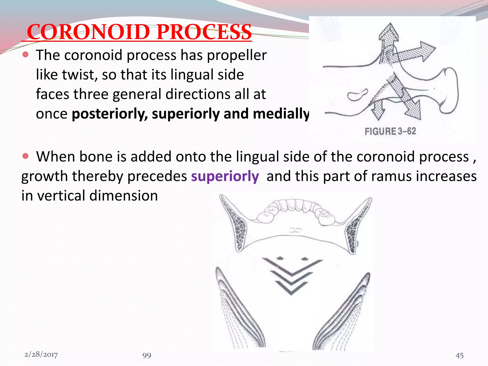 growth and development of mandible | PPTX