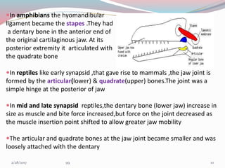 growth and development of mandible | PPTX