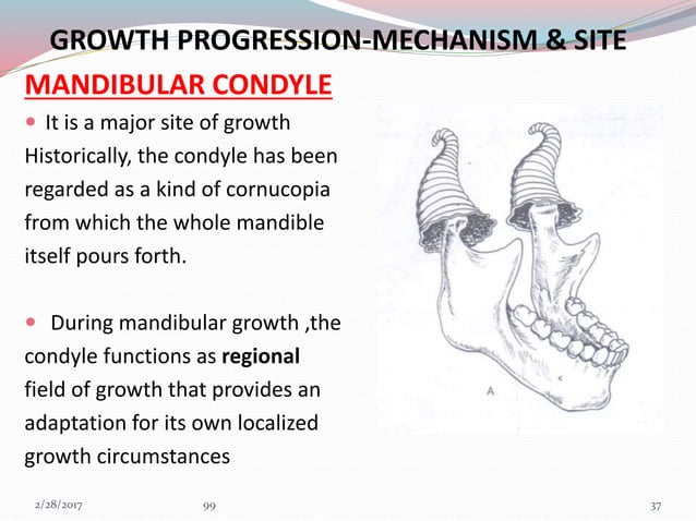 growth and development of mandible | PPTX | Dental Health | Diseases ...
