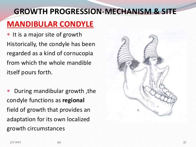 growth and development of mandible