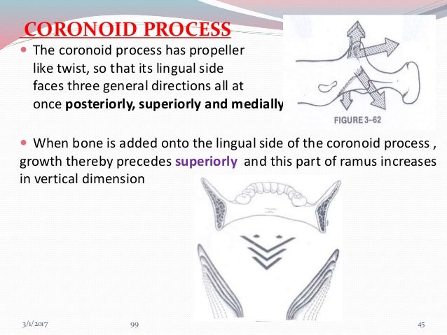 growth and development of mandible