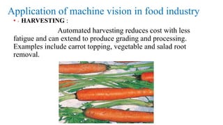 MACHINE VISION IN FOOD INDUSTRY | PPTX