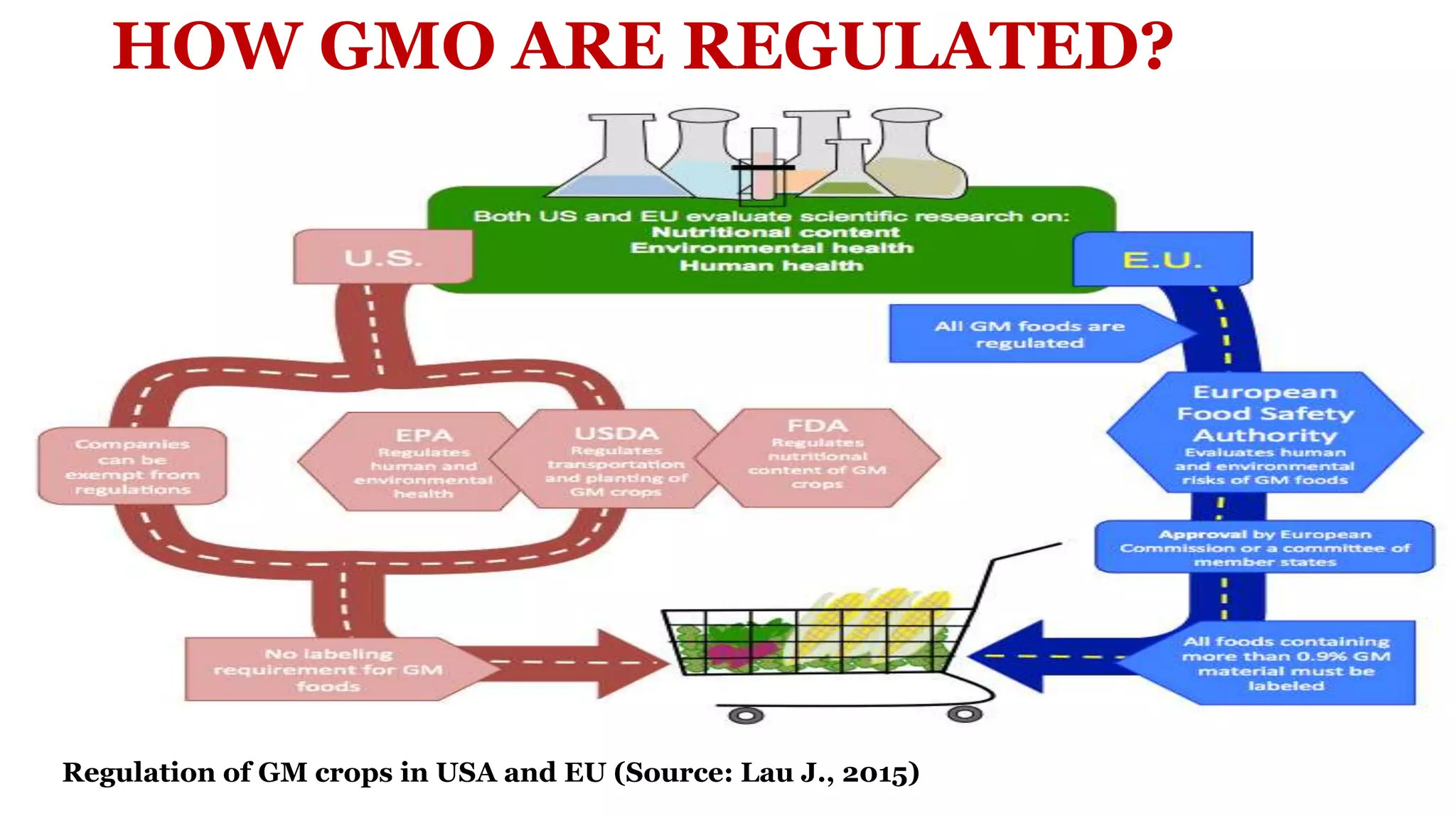 My ppt of gmo | PPTX