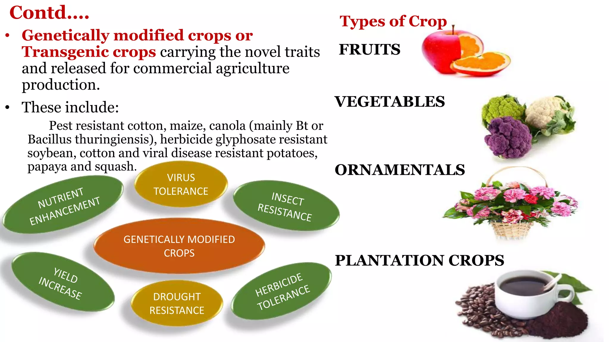 My ppt of gmo | PPTX