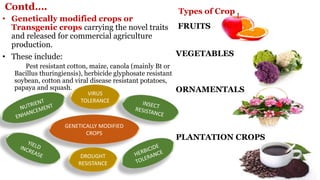 My ppt of gmo | PPTX