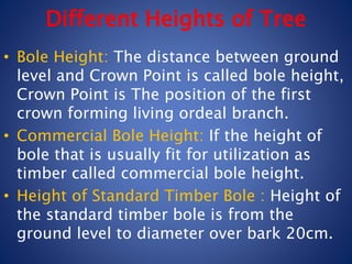 FOREST MENSURATION | PDF | Woodworking | Arts and Crafts