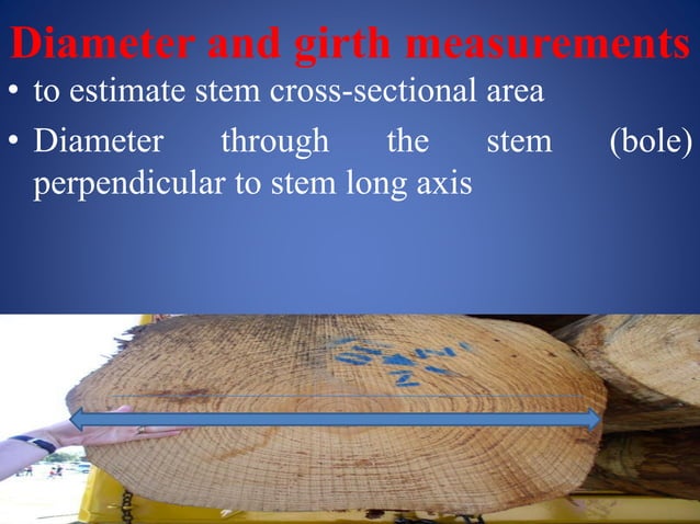 FOREST MENSURATION | PDF | Woodworking | Arts and Crafts