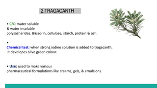 my ppt svpm's college 3rd year.pptx
