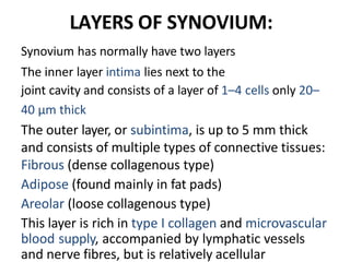 SYNOVIUM AND RELATED PATHOLOGY | PPTX