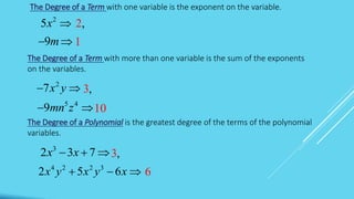 polynomials | PPTX
