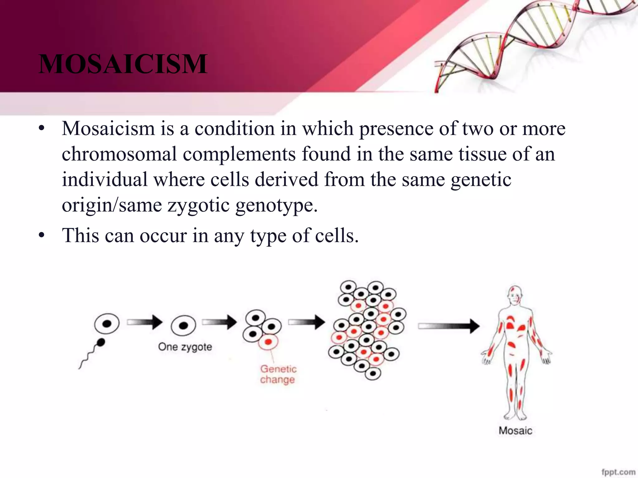 Mosaicism and chimerism | PPT