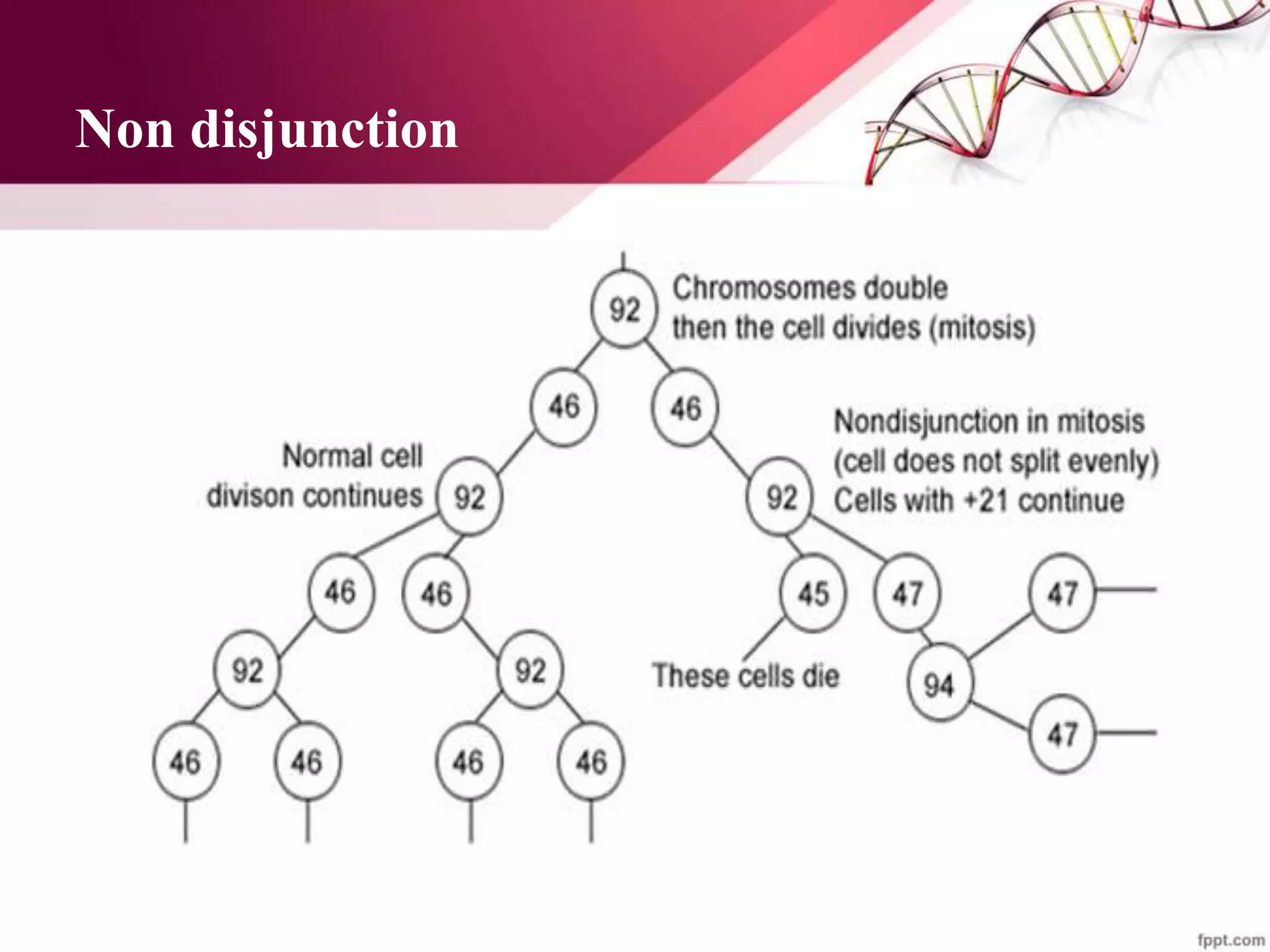 Mosaicism and chimerism | PPTX