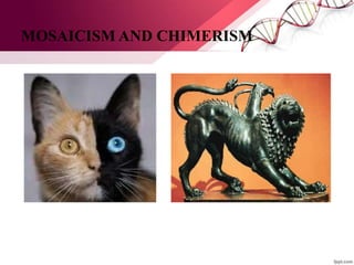 Mosaicism and chimerism | PPTX