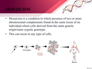 Mosaicism and chimerism | PPTX