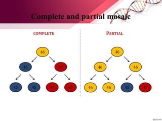Mosaicism and chimerism | PPTX