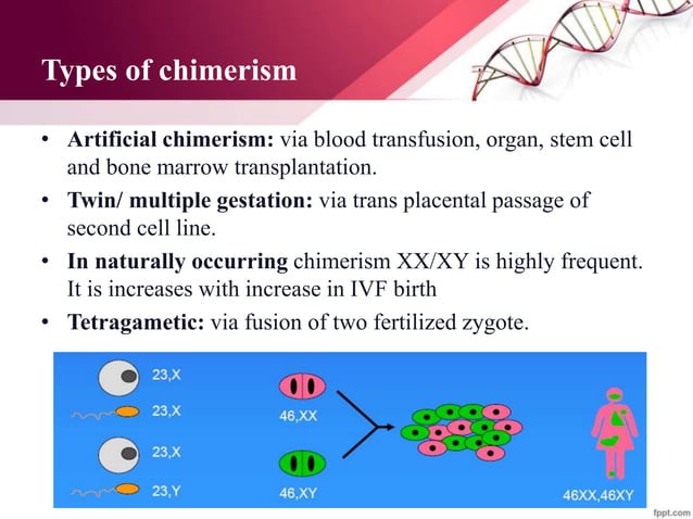 Mosaicism and chimerism | PPT