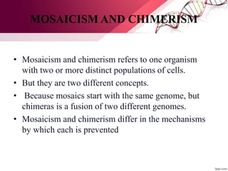 Chimerism