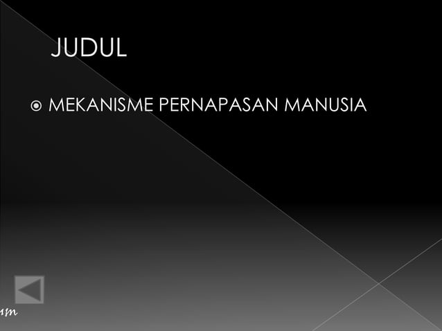 My presentation | PPTX