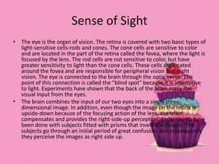 My presentation | PPTX