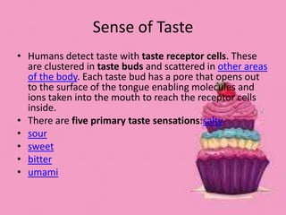 My presentation | PPT